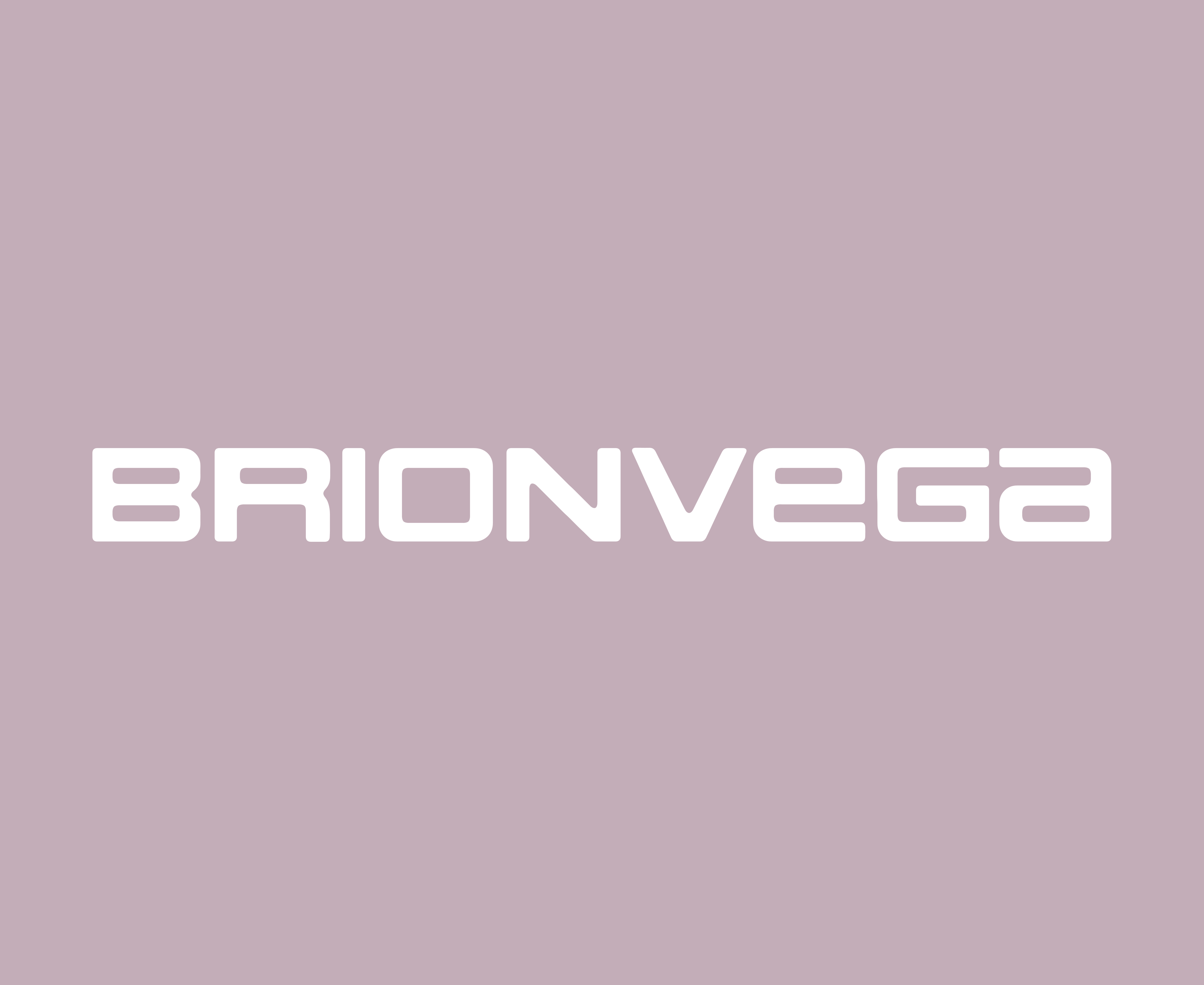 Brionvega Logo Brionvega | LinkedIn